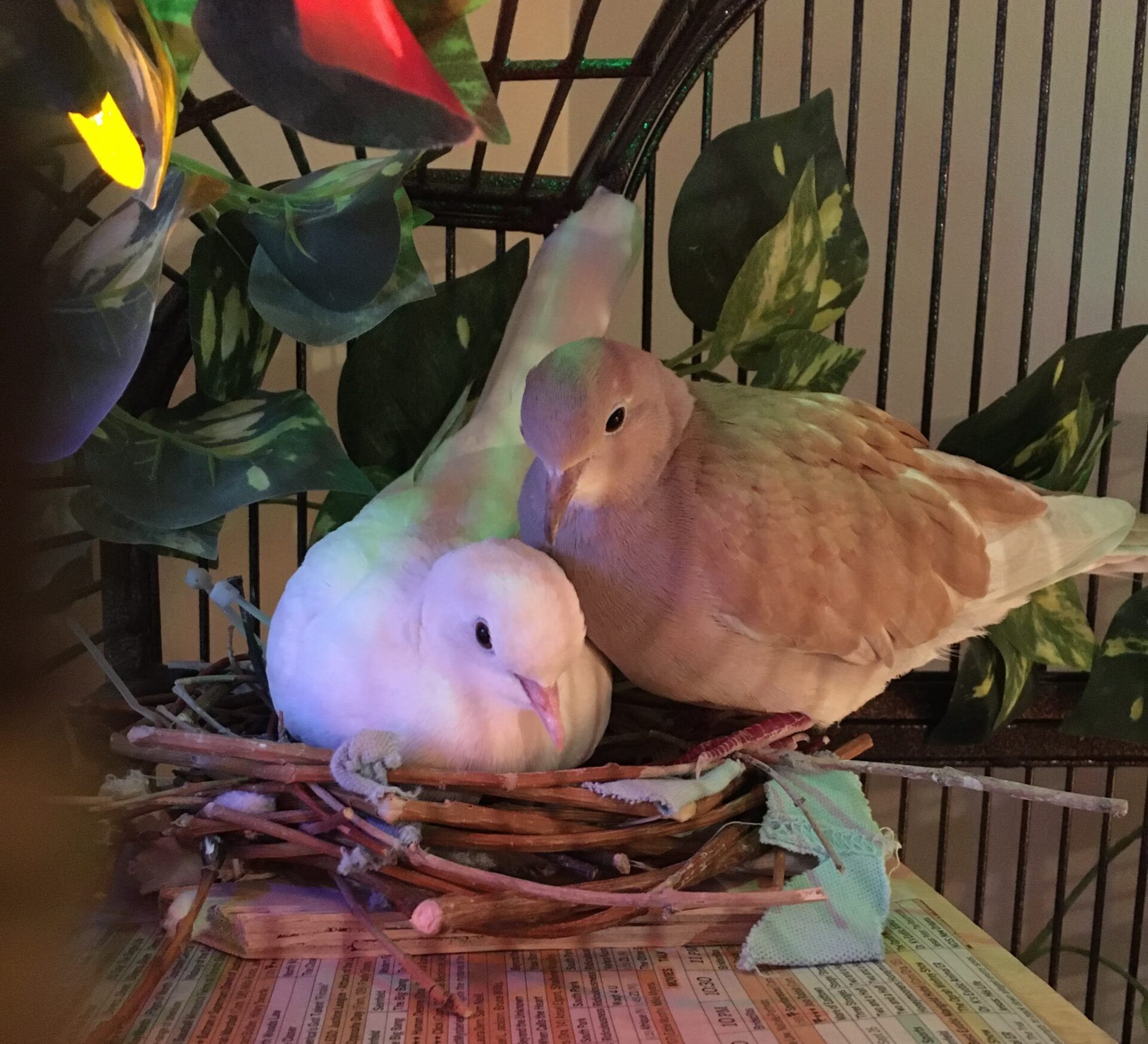 Shining a Spotlight on the Staff of SAMRU - SAMRU