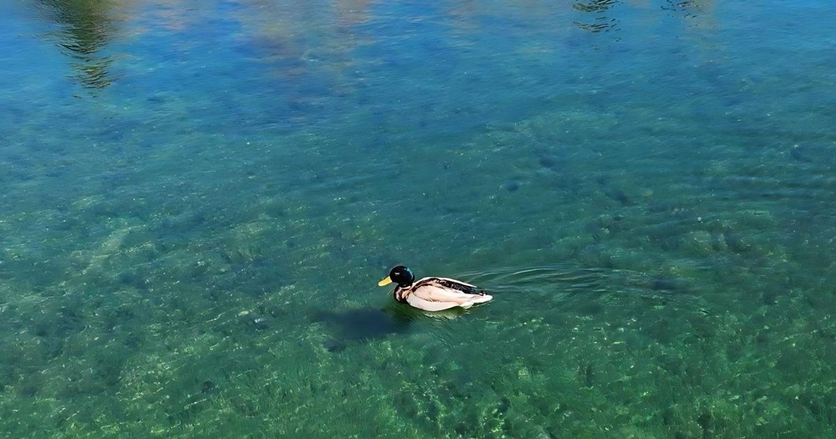 SAMRU is here for you over the Spring and Summer! - SAMRU